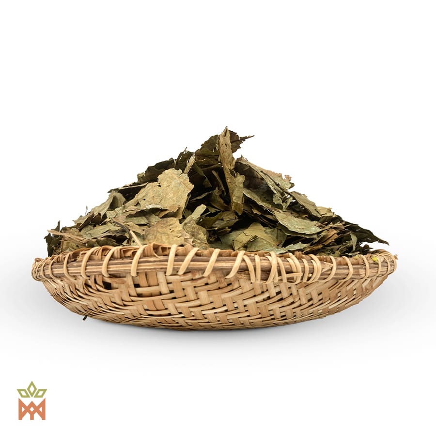 Whole Caapi Leaves | Sustainably Harvested | Shipibo Tribe