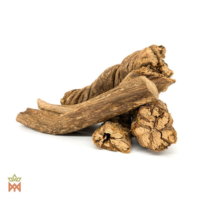 White Caapi | Ayahuasca Vine | Peru | Shipibo Tribe