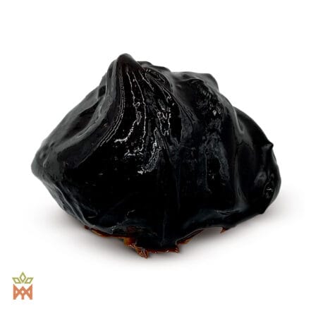 Banisteriopsis caapi | MAYA Ethnobotanicals