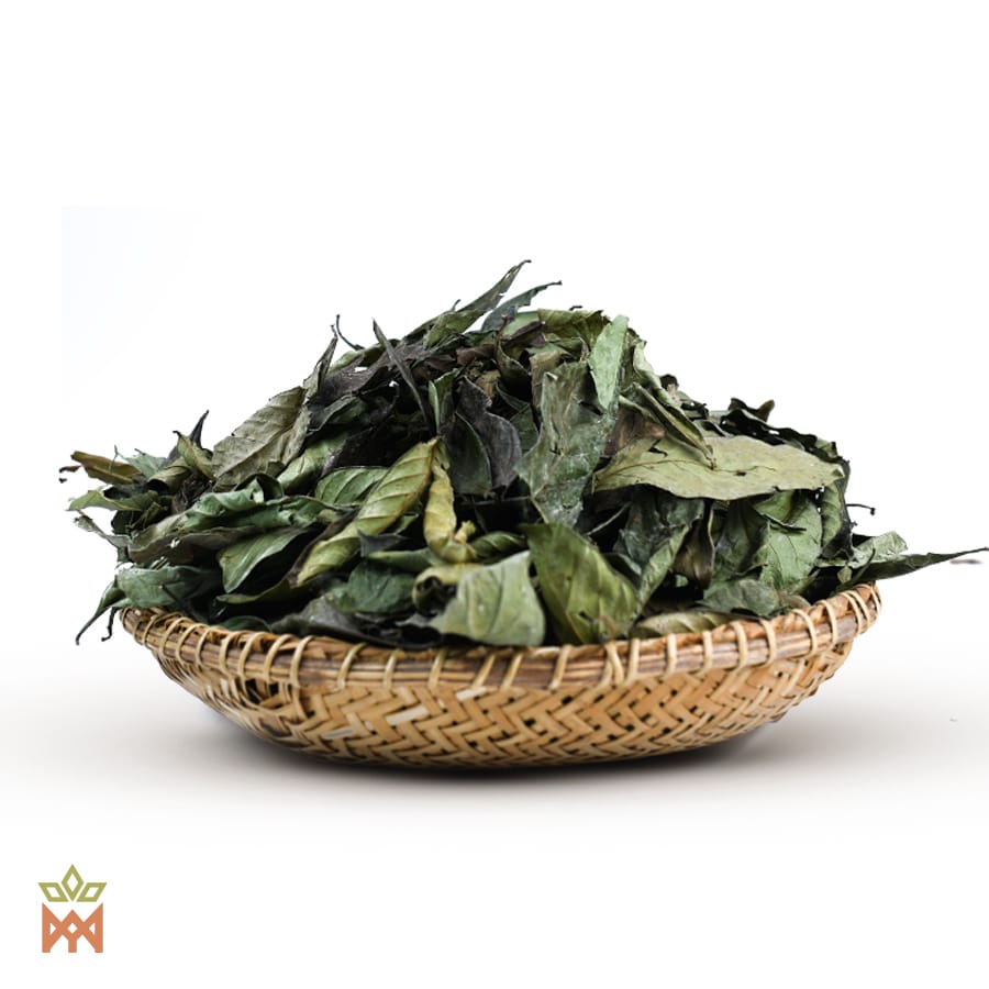 Whole Chacruna Leaves | Psychotria Viridis | Tarapato | Peru