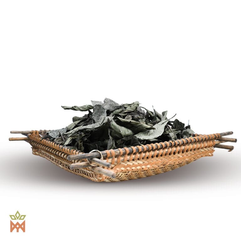 Psychotria Viridis Leaves | Chacruna | Ucayali | Peru