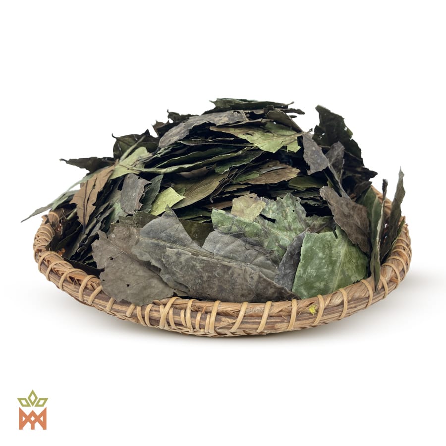 Whole Guayusa Leaves | Ecuador | Maya Herbs