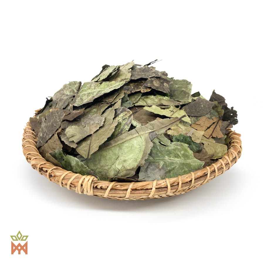 Whole Guayusa Leaves | Ecuador | Maya Herbs