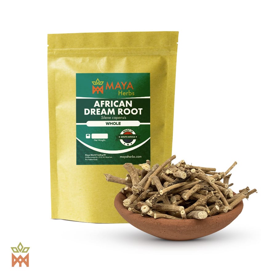 African Dream Root | Silene Capensis | South Africa