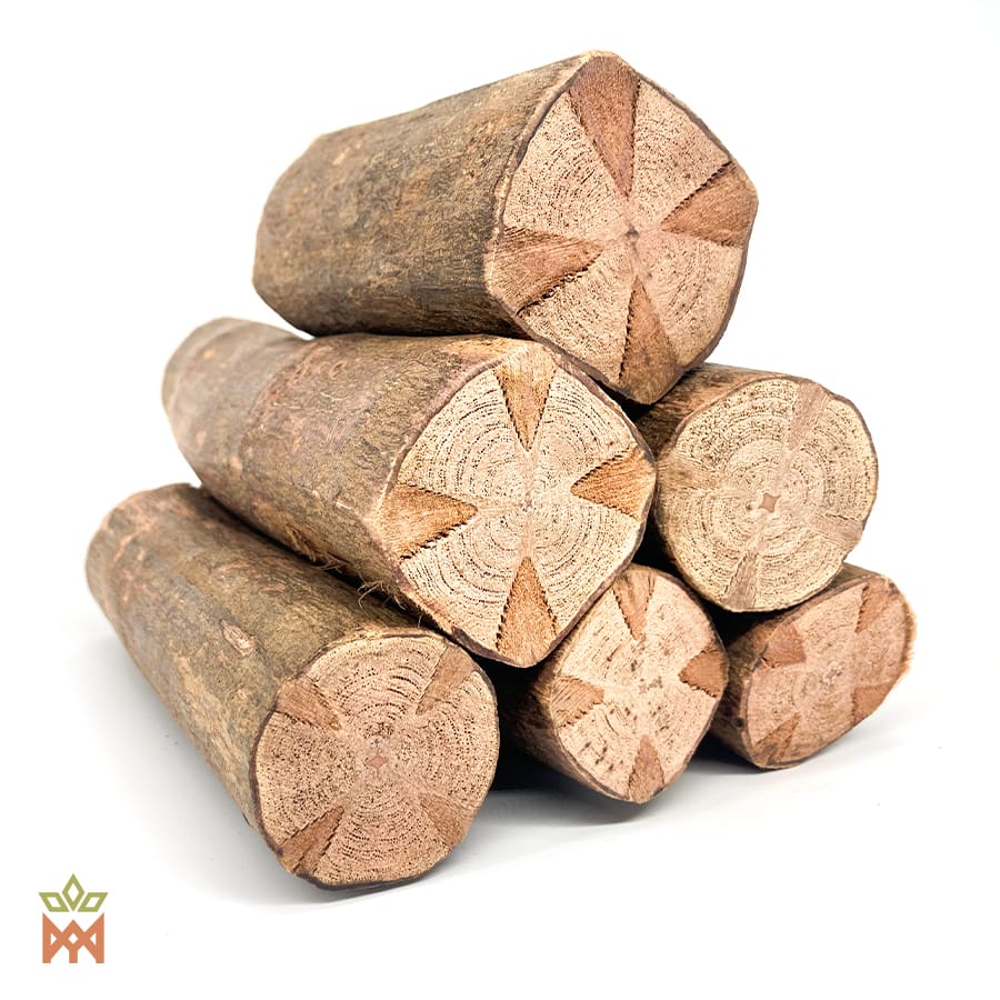 Clavo Huasca |Tynanthus panurensis | Whole Vine | Maya