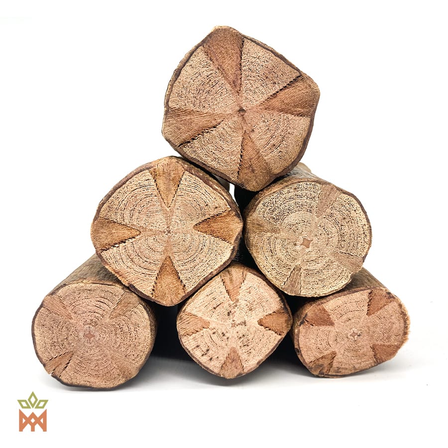 Clavo Huasca |Tynanthus panurensis | Whole Vine | Maya