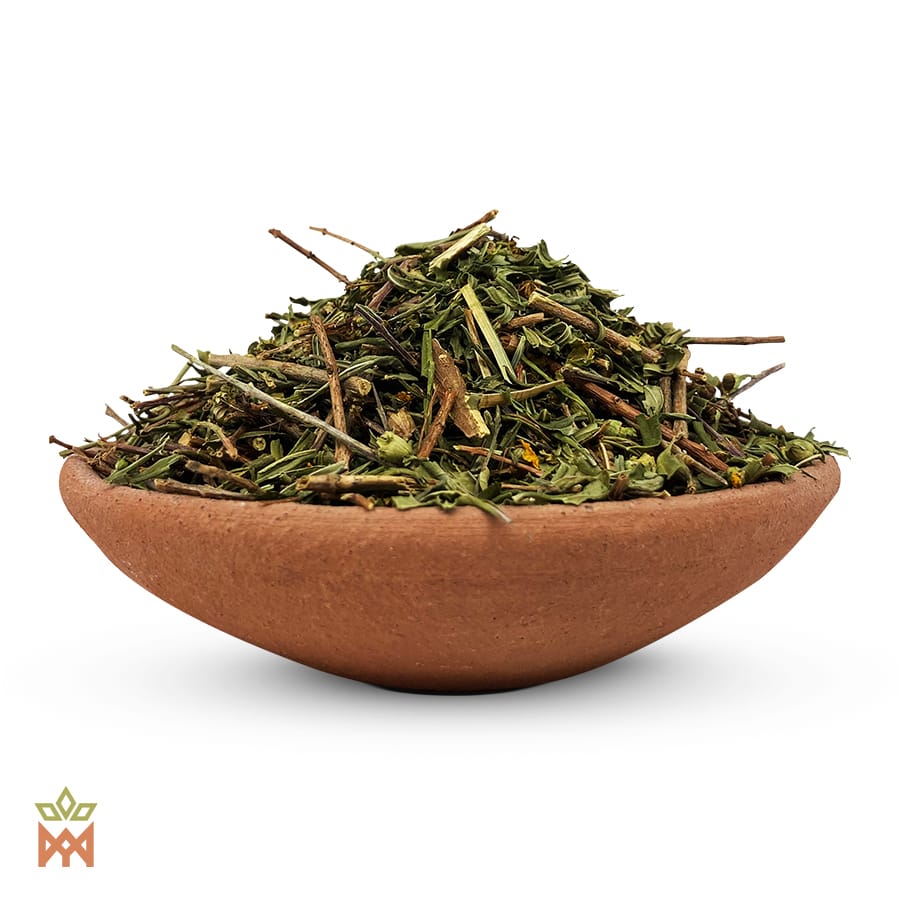 Sinicuichi | Heimia Salicifolia | Shredded | Mexico