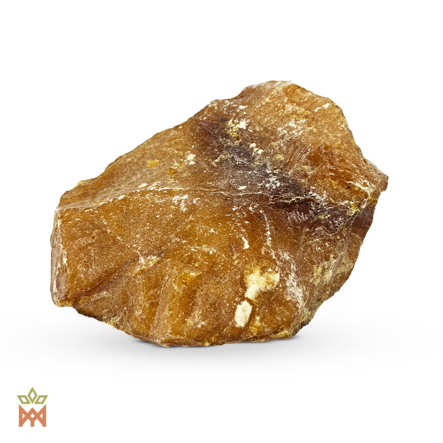 Balsam Fir | Abies balsamea | Best Incense Resin | France