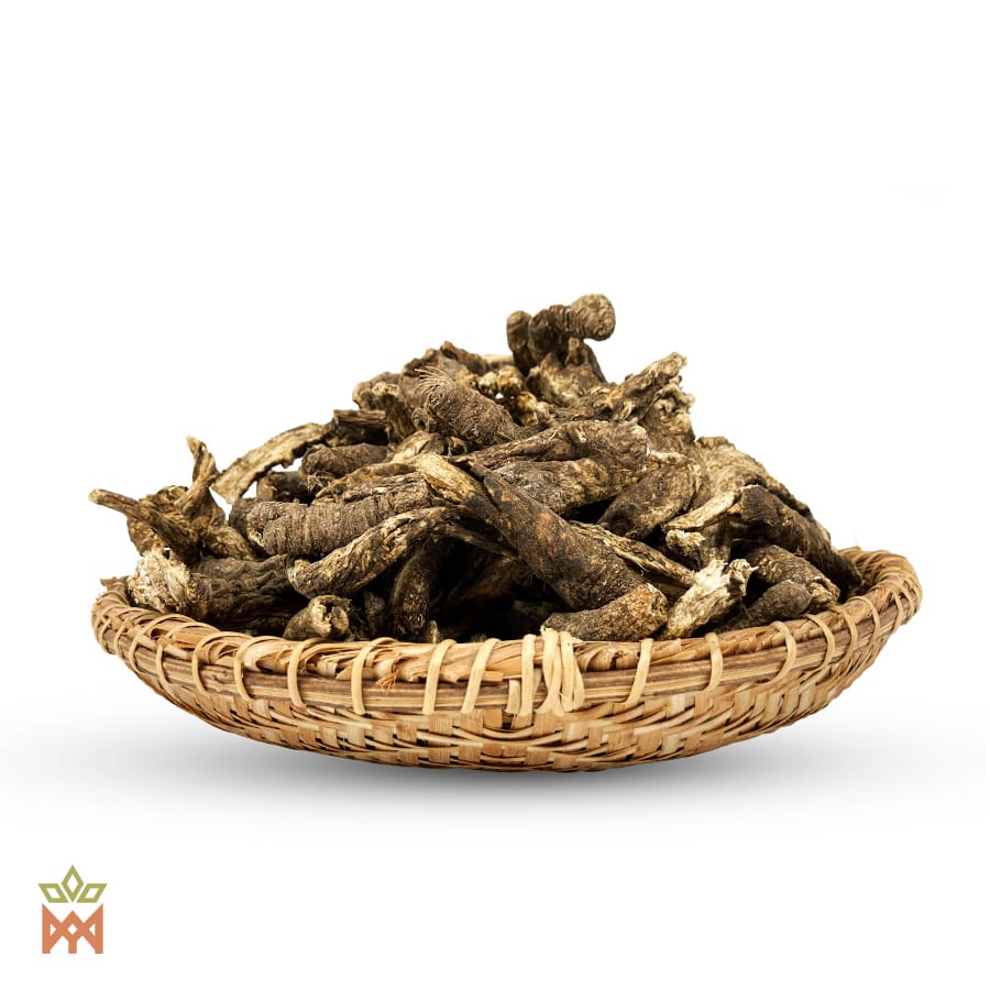 Osha Root | Ligusticum porteri | Mexico | Maya Herbs