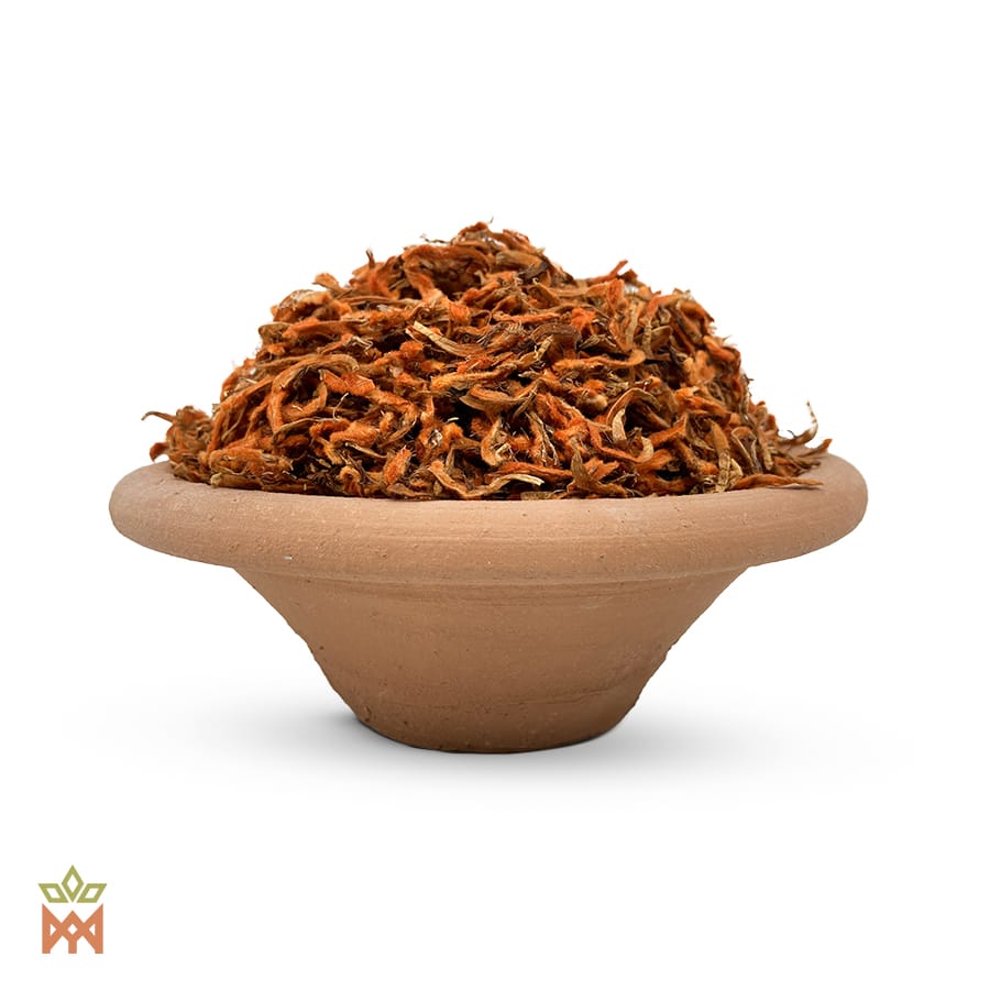 Klip Dagga | Leonotis nepetifolia | MAYA Ethnobotanicals