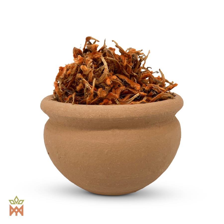 Klip Dagga | Leonotis nepetifolia | MAYA Ethnobotanicals