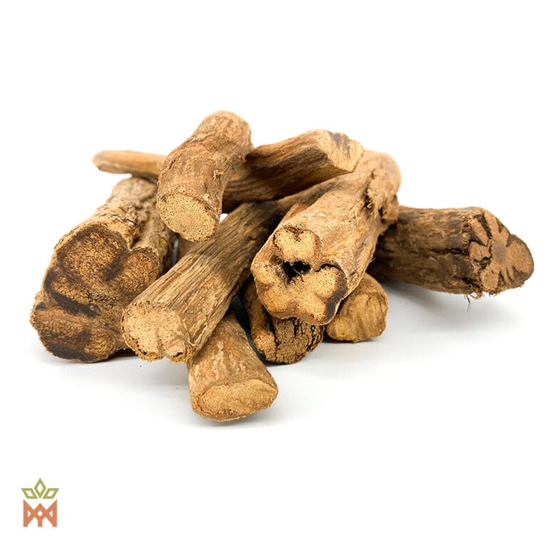 Banisteriopsis caapi | MAYA Ethnobotanicals