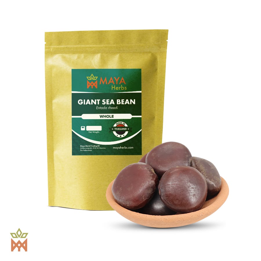 Giant Sea Bean | Snuff Box | Entada Rheedii | Whole Seeds