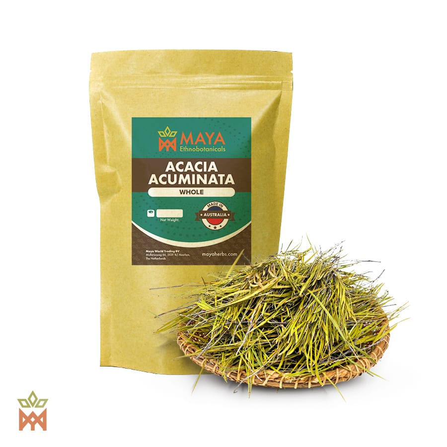 Acacia Acuminata Narrow Phyllodes | Buy Here | Australia