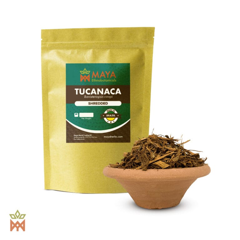 Banisteriopsis caapi | MAYA Ethnobotanicals