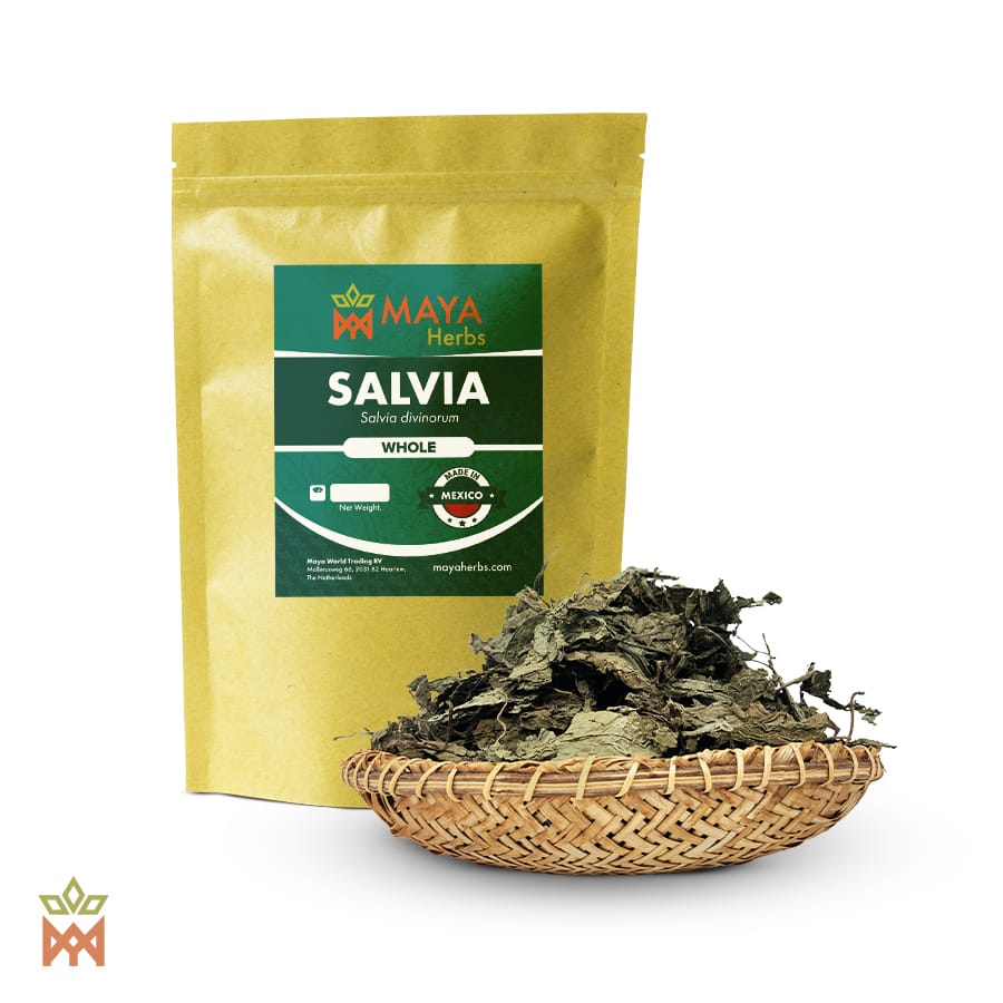 Salvia Divinorum | Leaves from Oaxaca Mexico | Maya Herbs