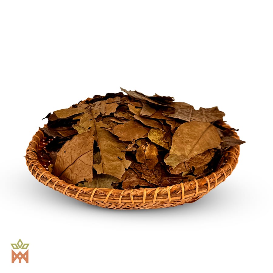 Whole Guayusa Leaves | Peru | Maya Herbs