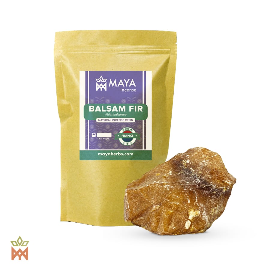 Balsam Fir | Abies balsamea | Best Incense Resin | France