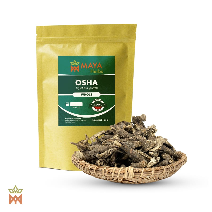 Osha Root | Ligusticum porteri | Mexico | Maya Herbs