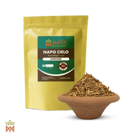 Banisteriopsis caapi | MAYA Ethnobotanicals