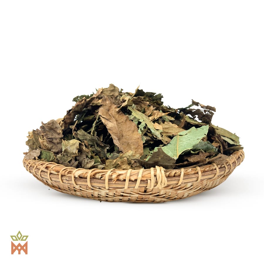 Whole Cielo Caapi Leaves | From Ecuador | Shade Dried