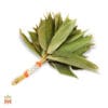 Chakapa | Shamanic Tool from Peru | Handcrafted with Love