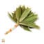 Chakapa | Shamanic Tool from Peru | Handcrafted with Love